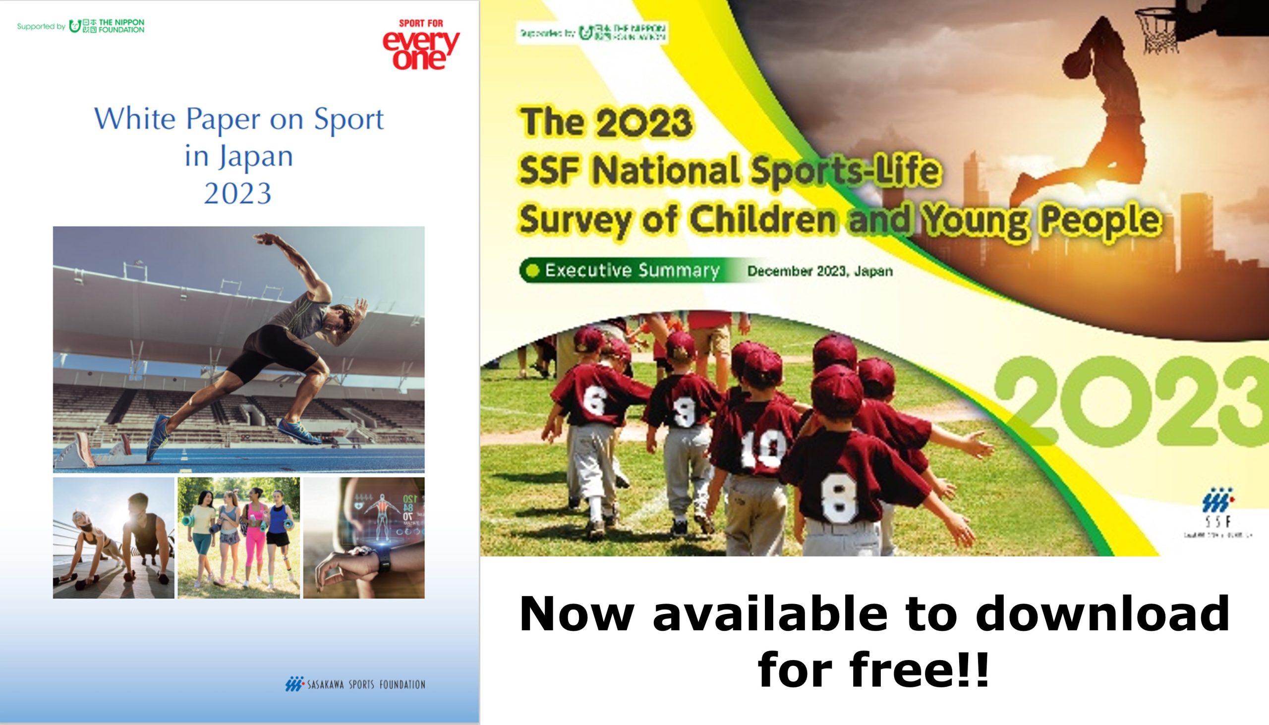 Discovering Japan’s sports landscape through White Paper on Sport and ...